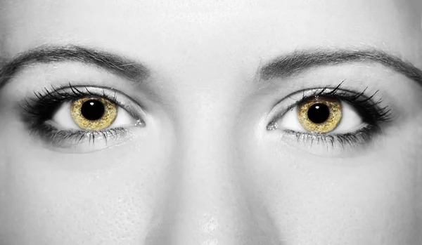 Insightful Stock Photos, Royalty Free Insightful Images | Depositphotos