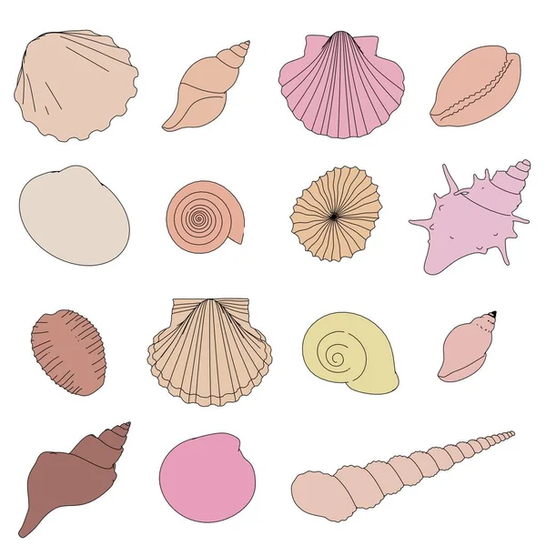 Sea shell cartoon Stock Photos, Royalty Free Sea shell cartoon Images ...