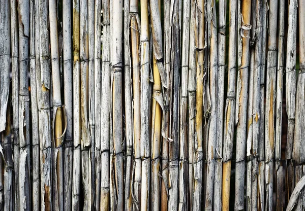 Cane wall Stock Photos, Royalty Free Cane wall Images | Depositphotos