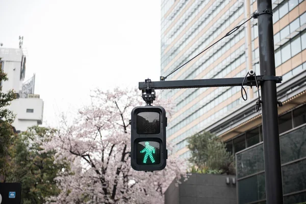 Traffic Sign on the Street ⬇ Stock Photo, Image by © eugenef #110554570
