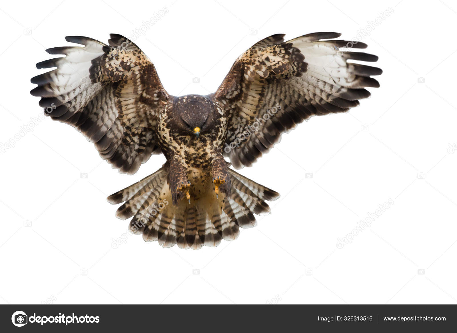 Eagle Landing Front View