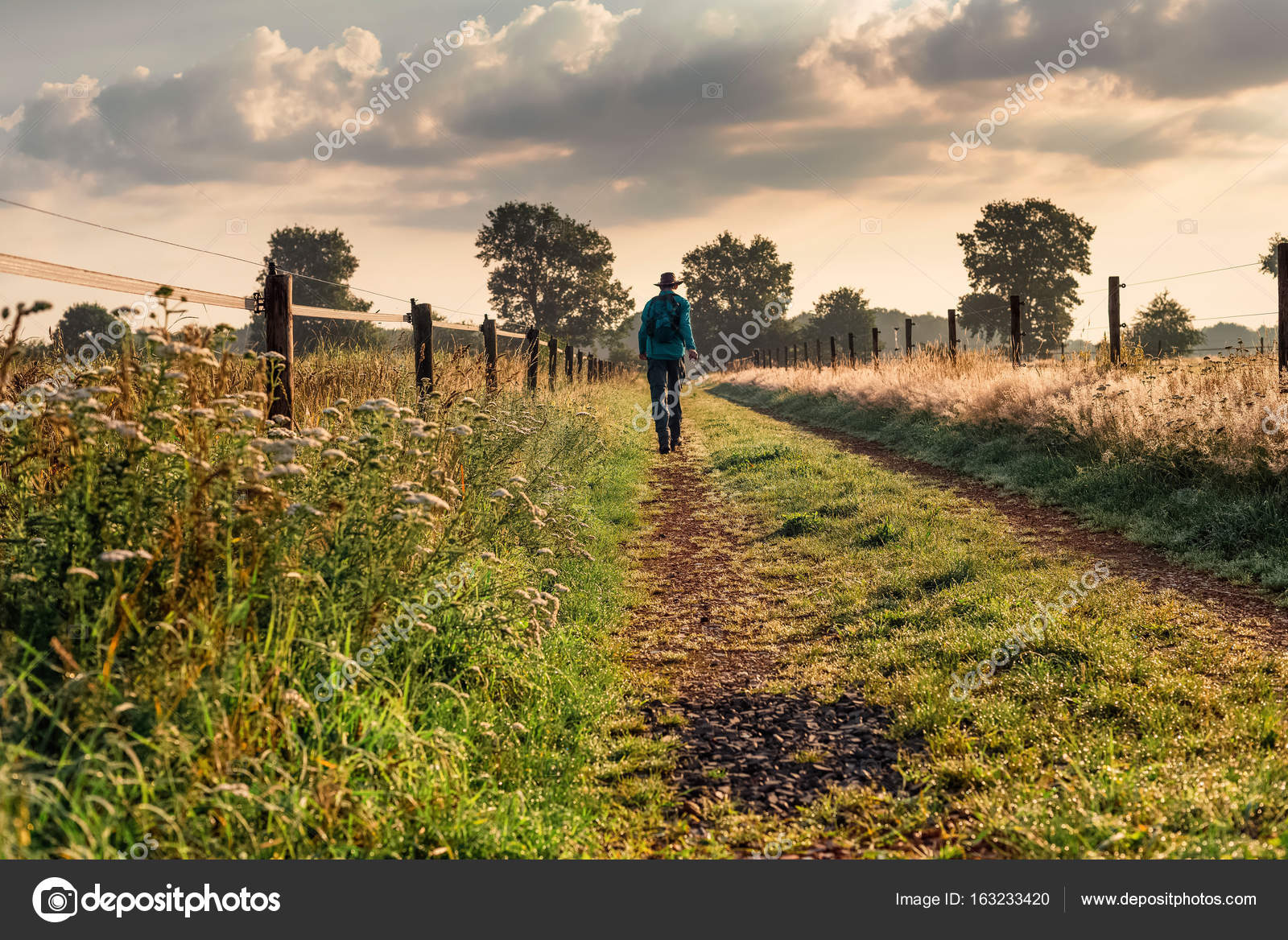 Man walking on rural road — Stock Photo © ysbrand #163233420