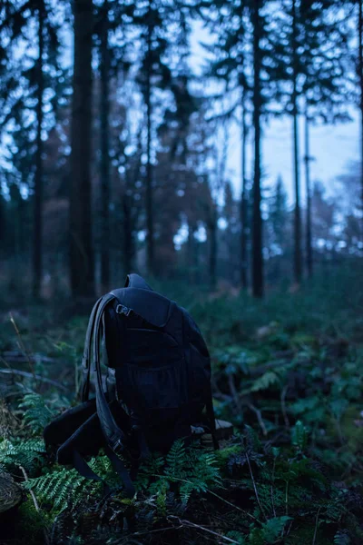 Lost backpack on stump — Stock Photo © ysbrand #180010346