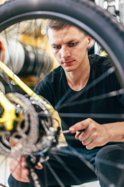 Guy is repairing a bicycle in a bicycle workshop - Stock Image - Everypixel