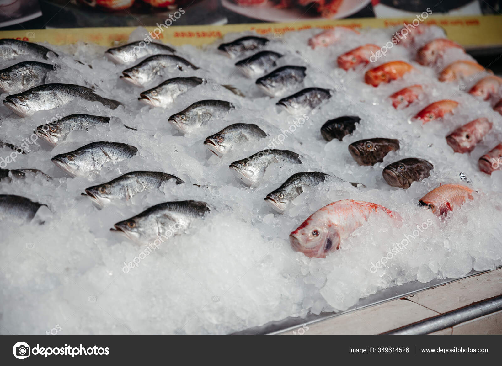 Fresh fish in the ice. fish on the counter Stock Photo by ©alserikov ...