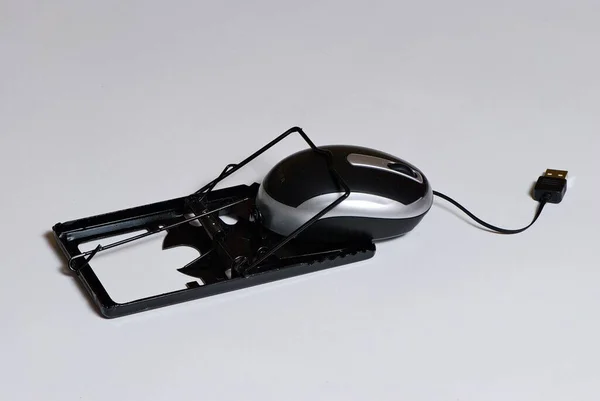 Old computer mouse Stock Photos, Royalty Free Old computer mouse Images ...