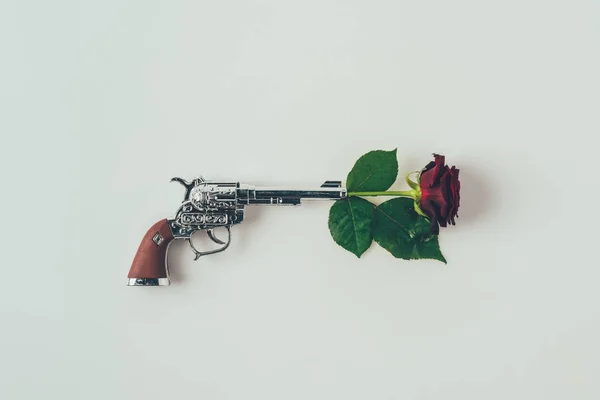 Flower gun barrel Stock Photos, Royalty Free Flower gun barrel Images ...