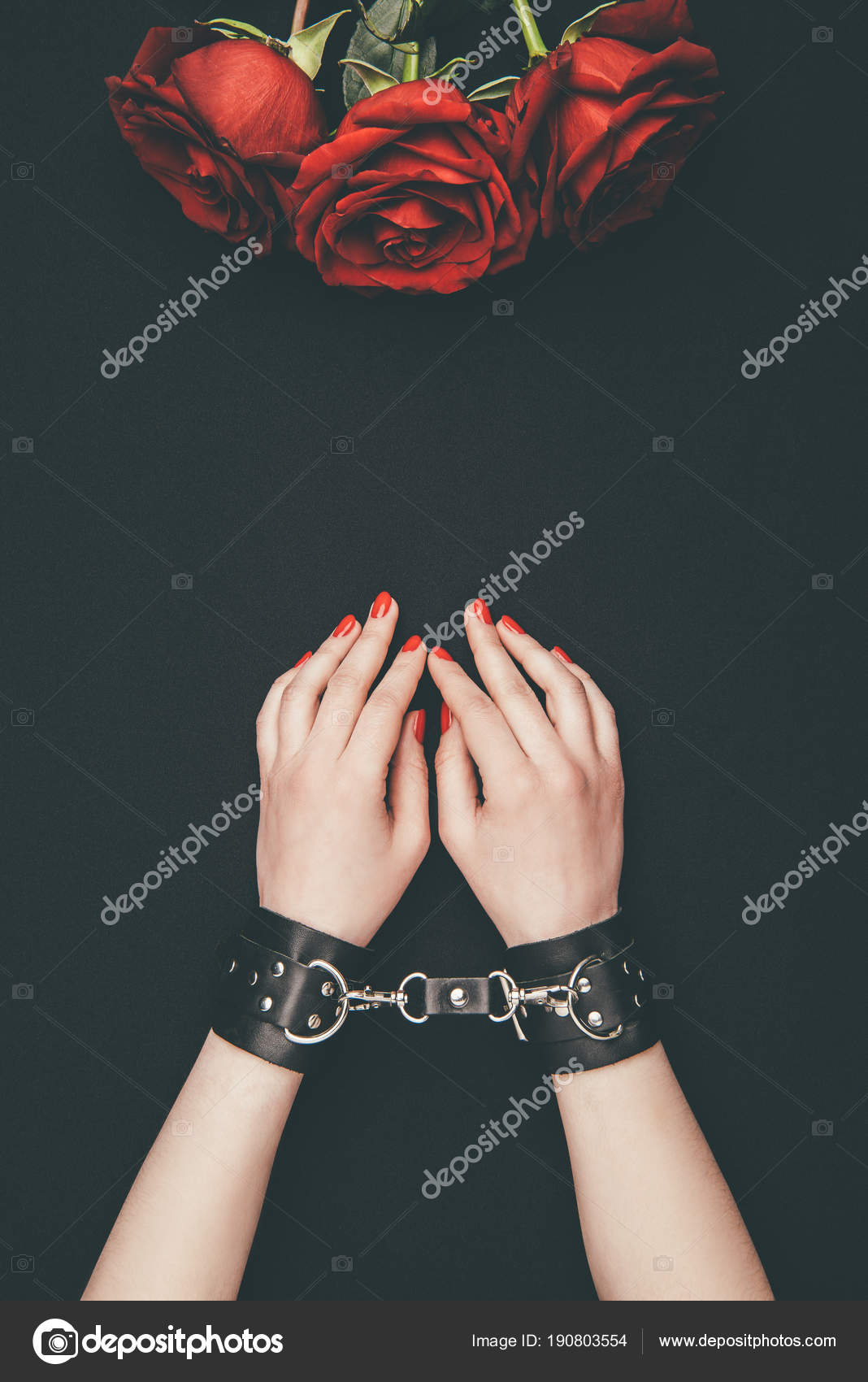 Black Leather Cuffs Female Hands Rose Flowers Isolated Black Stock ...