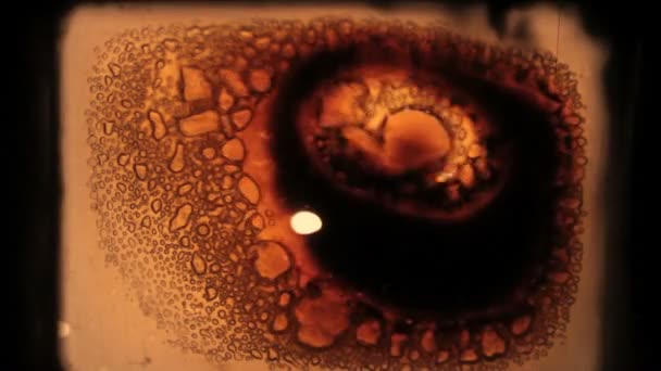 Film Burning In Projector