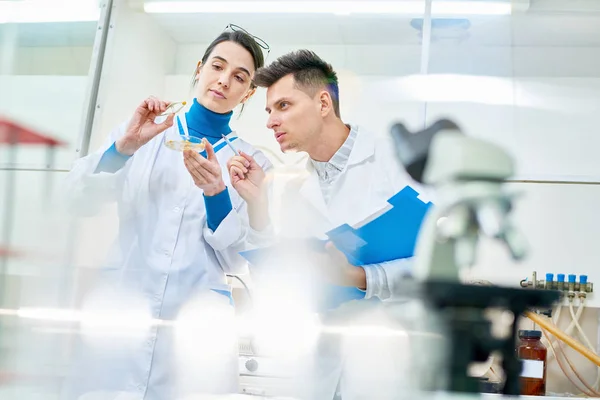 Smart professional scientists working on a project — Stock Photo ...