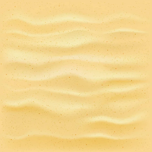 Shells Stock Vector Image by ©losw #10749775