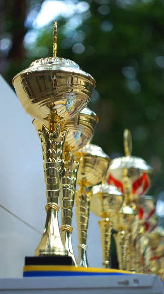 Medals and cups Images - Search Images on Everypixel