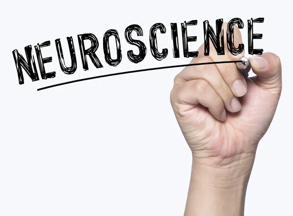 4,384 Neuroscience Stock Photos, Images | Download Neuroscience ...