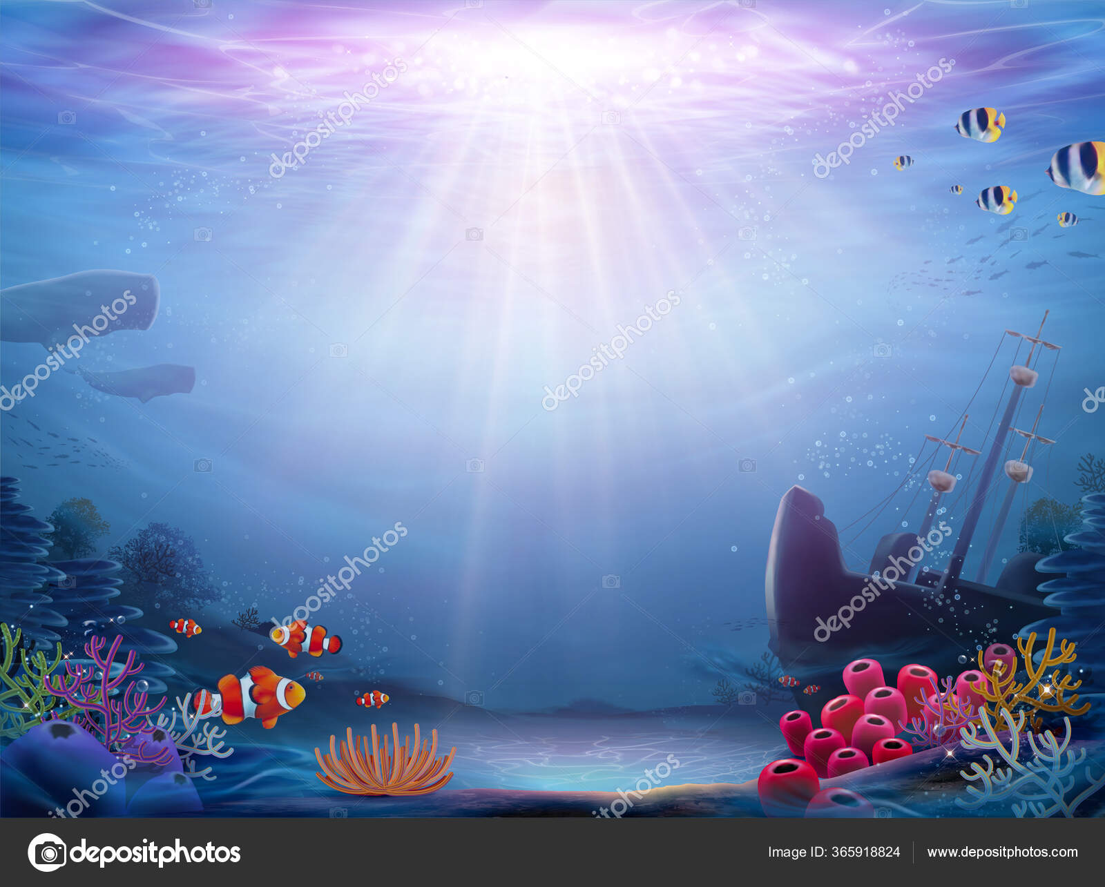 Natural Ocean Bottom Background Shipwreck Abundant Marine Life ...