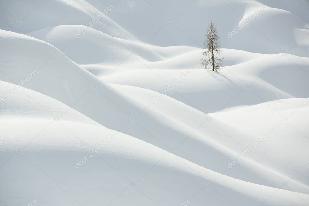 Beautiful snow covered hills with pine tree, winter landscape — Stock ...