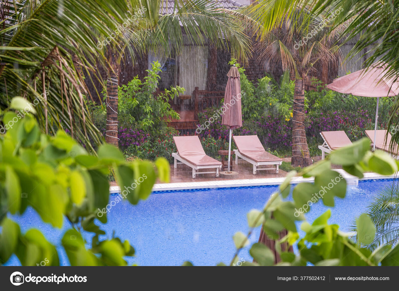 Tropical Summer Rain Falling Big Rain Drops Falling Swimming Pool Stock ...