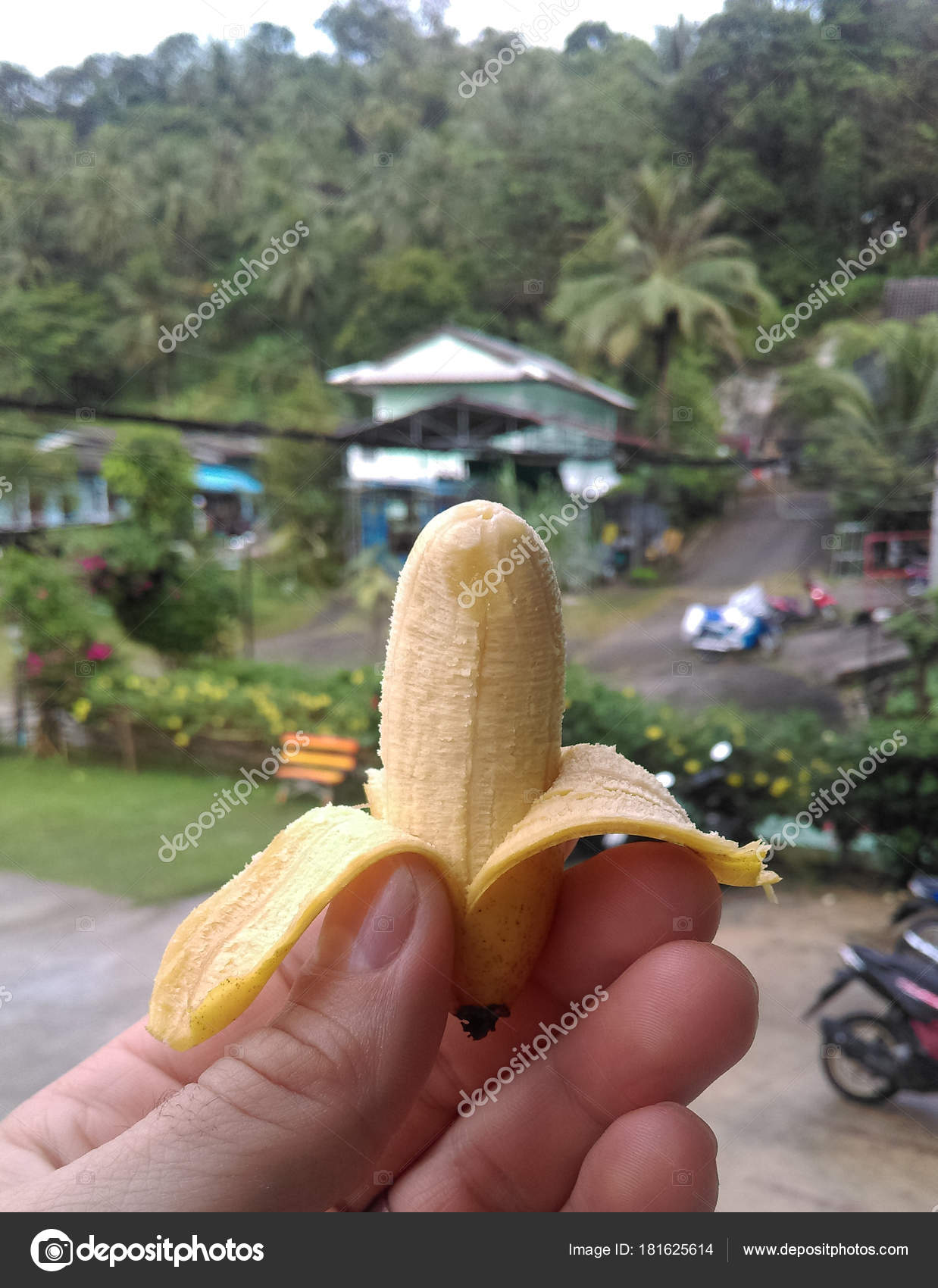 Tiny Banana