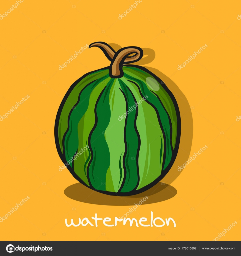 Ilustración Vectorial Colorida Con Fruta Dibujada Mano Sandía Diseñada ...