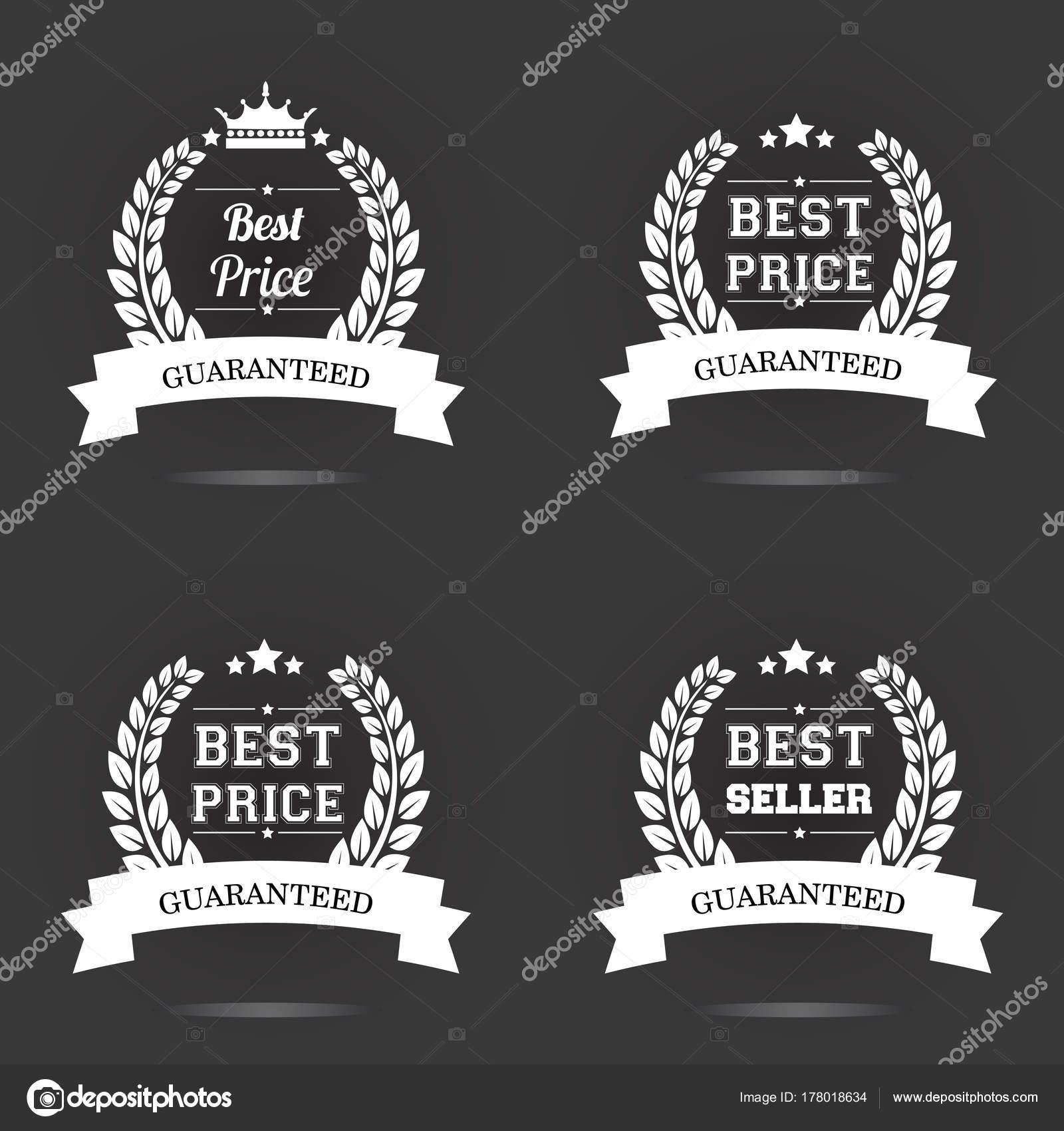 Silver Premium Business Logos Set Text Crowns Wreathes Stars Leaves ...
