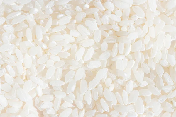 Rice grains close-up, detailed macro photo. Round grain rice. - Stock ...