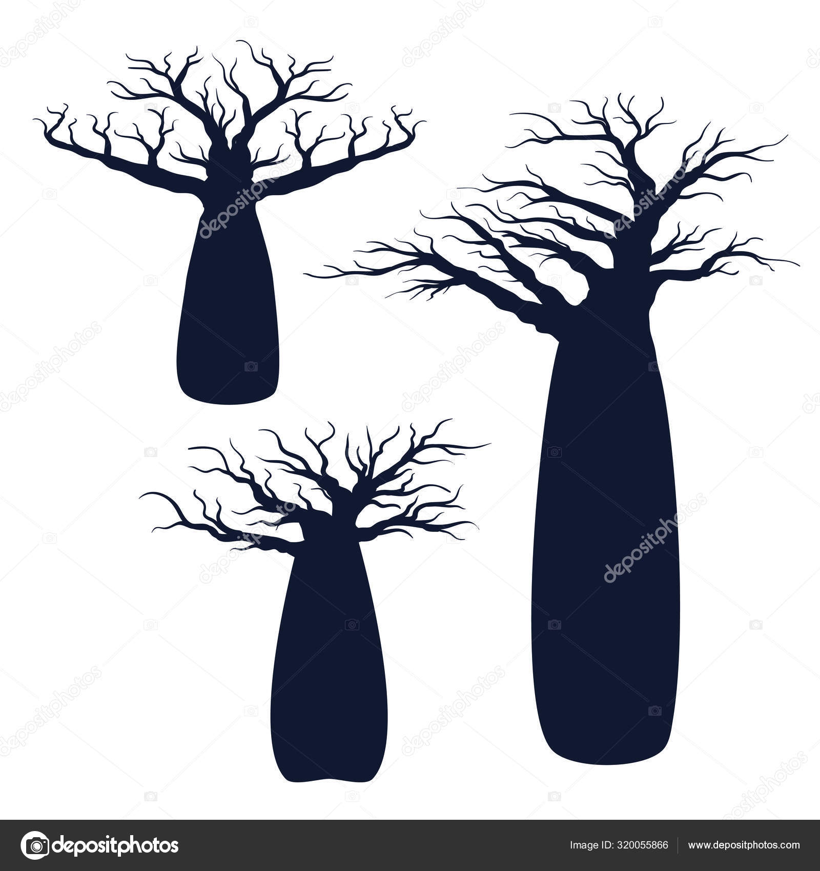 African Tree Roots Vector