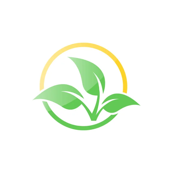 19,177,257 Eco icon Vector Images | Depositphotos