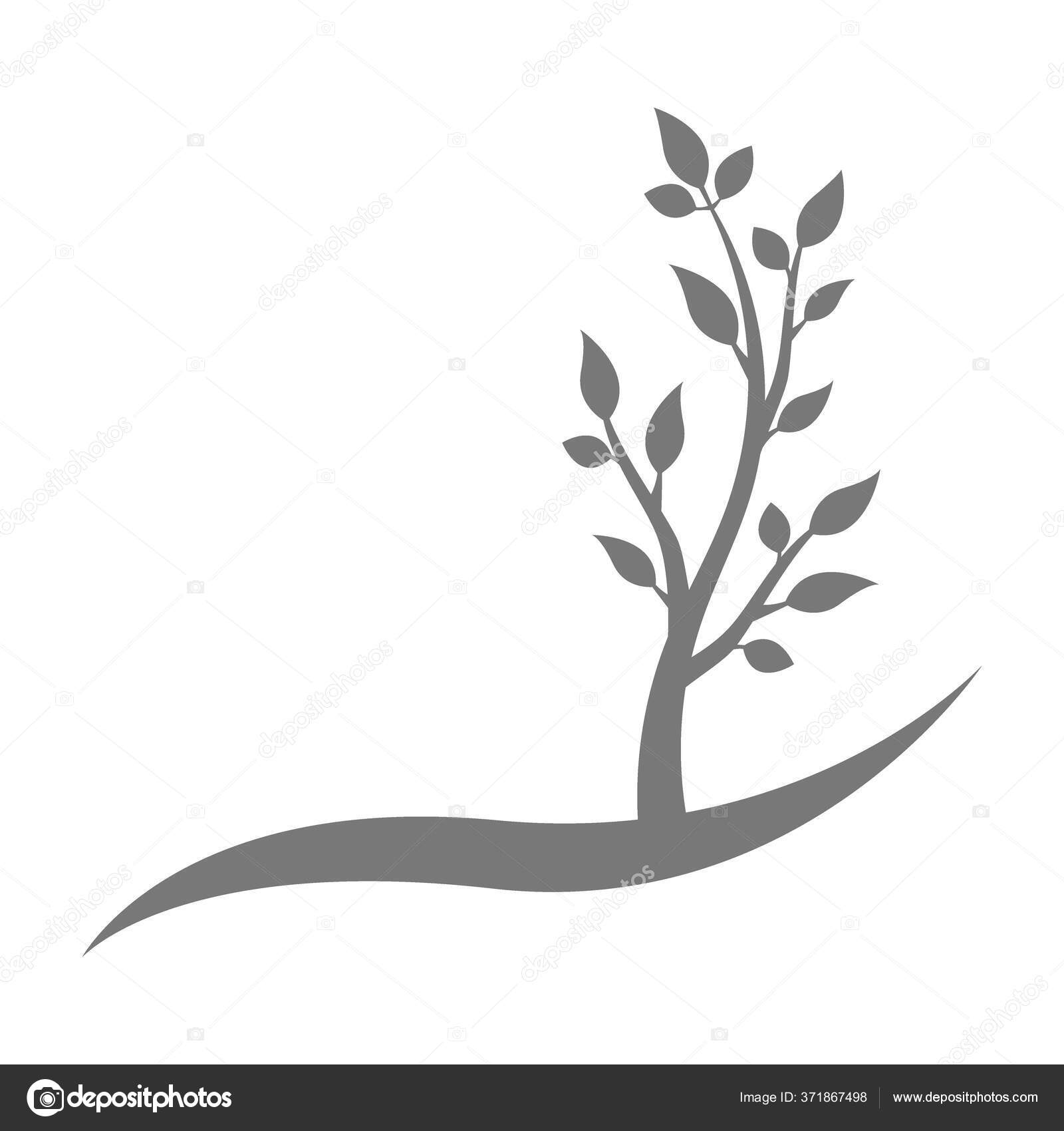 Tree Icon White Background Stock Vector Image by ©fle-x-elf #371867498