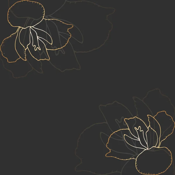 Fotos de Rysunek szpilki, Imagens de Rysunek szpilki sem royalties ...