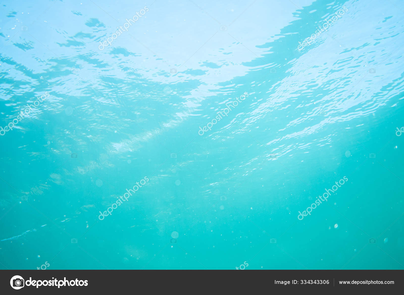 Sign Paperwork Underwater