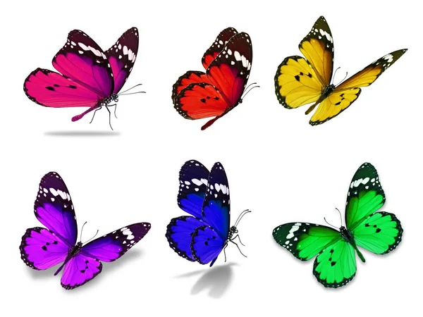 Six monarch butterfly Stock Illustration by ©thawats #180249296