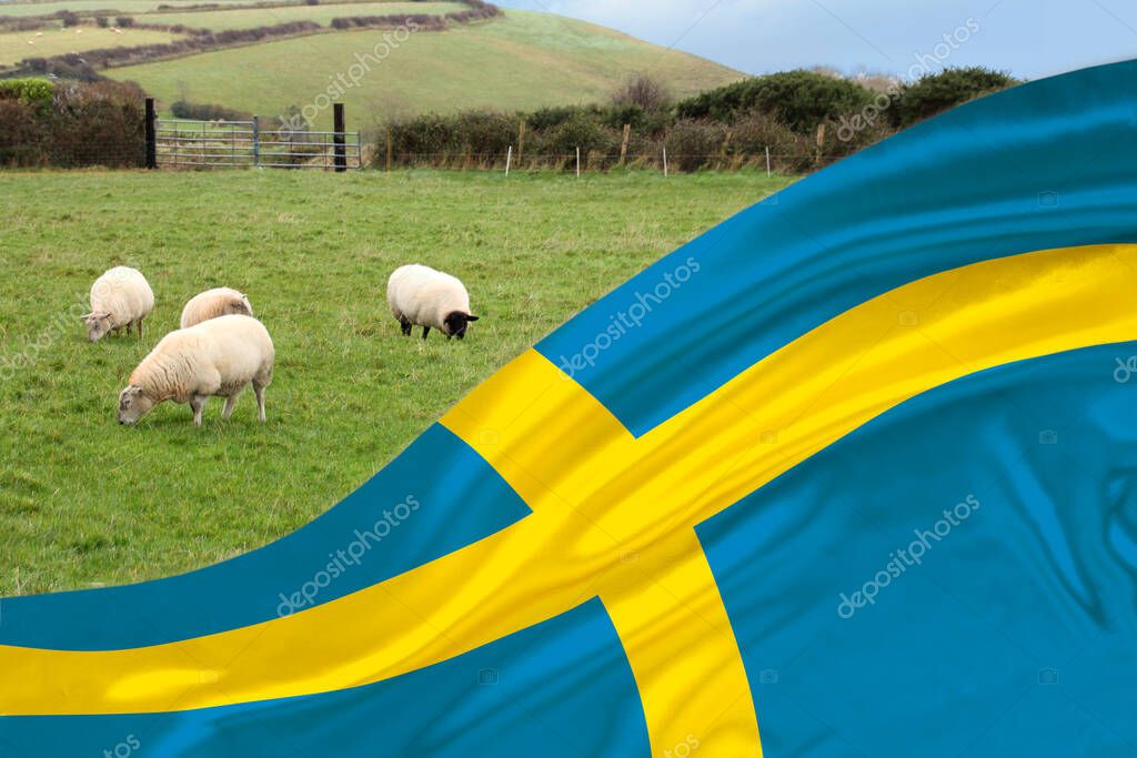 bandera nacional de seda del estado de Suecia ondea en los suaves ...