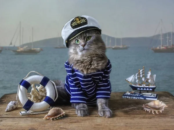 Sailor cat Stock Photos, Royalty Free Sailor cat Images | Depositphotos