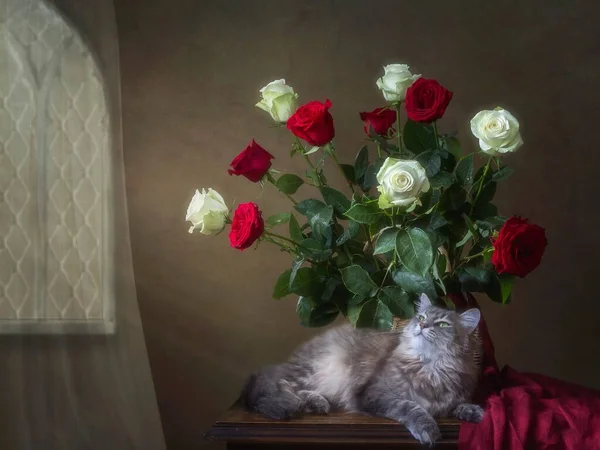 Cat with rose Stock Photos, Royalty Free Cat with rose Images ...