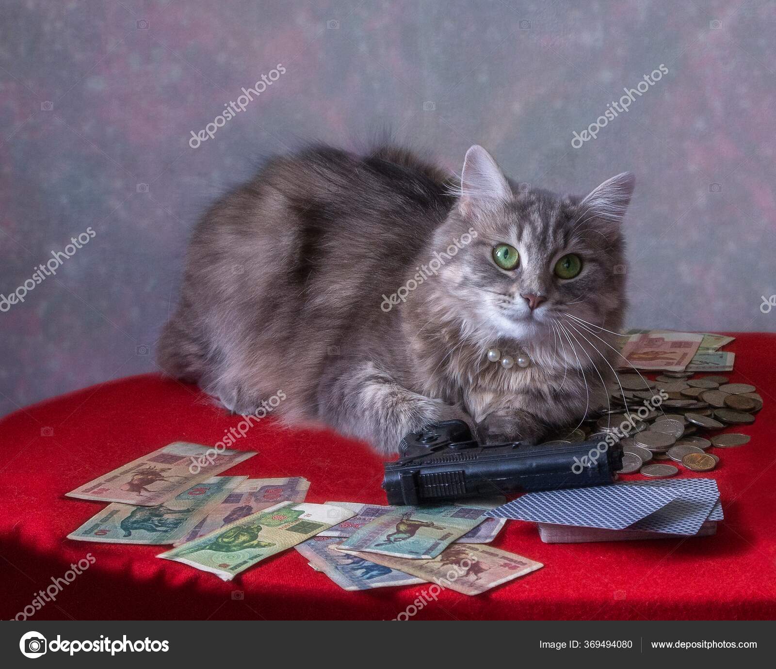 Young Gray Adorable Kitty Playing Poker — Stock Photo © daykiney #369494080