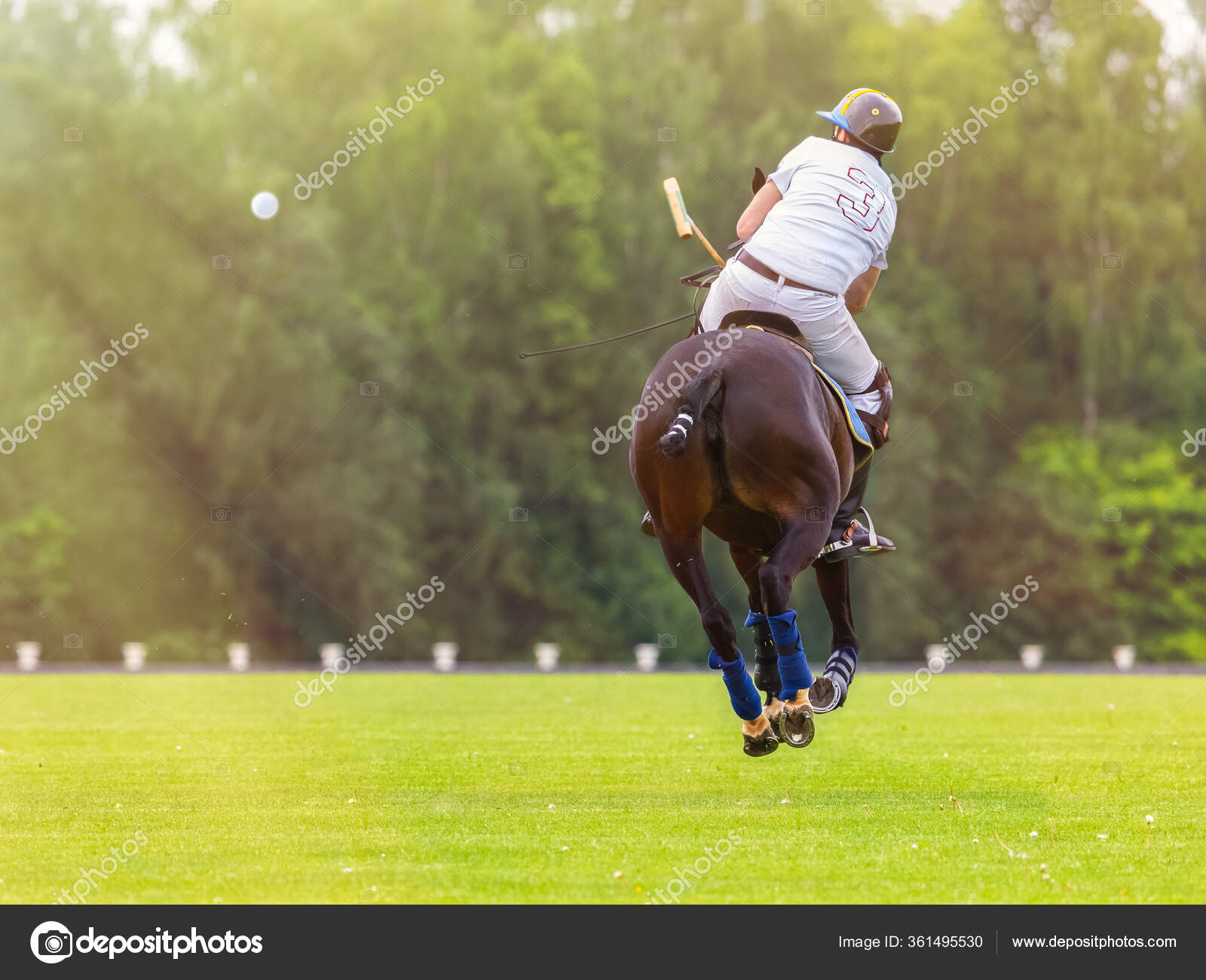 Polo Horse Wallpaper
