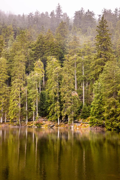 Lagos forestales Stock Photos, Royalty Free Lagos forestales Images ...