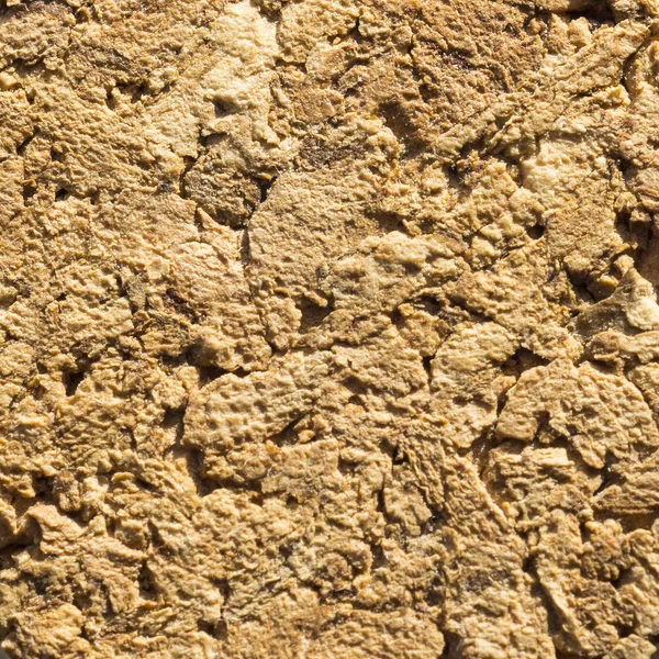 Gross texture Stock Photos, Royalty Free Gross texture Images ...