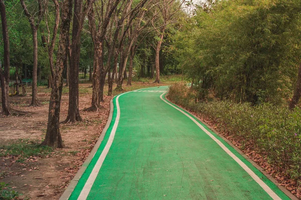 Vert de pistes cyclables Stock Photos, Royalty Free Vert de pistes ...