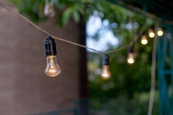 Decorative outdoor string lights hanging on tree in the garden in ...
