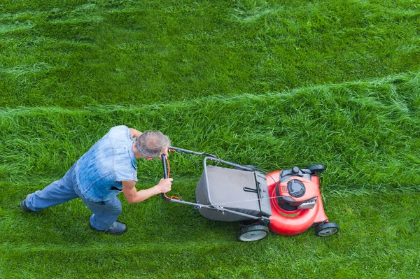 lawn mower is cutting green grass cut, the gardener with a lawn mower ...