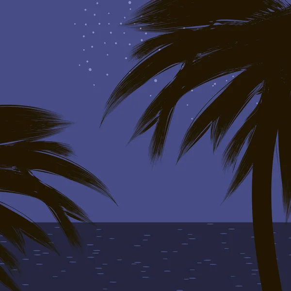 Black dark contours of palm trees on tropical coast nature at night ...