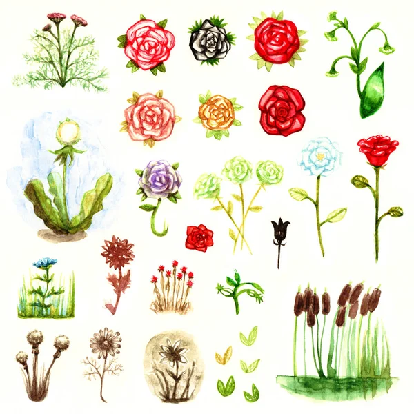 Berkebun kartun Stok Foto, Berkebun kartun Gambar Bebas Royalti ...