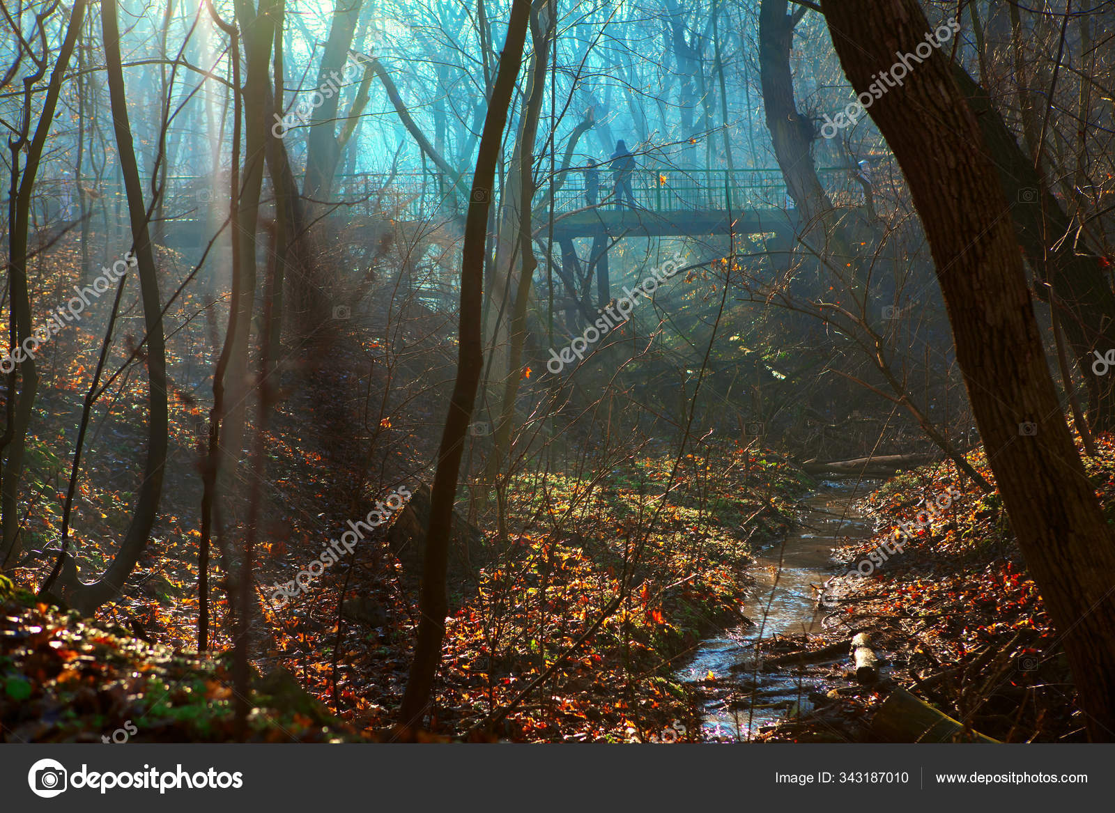 Flowing Brook Spring Park — Stock Photo © Russieseo #343187010