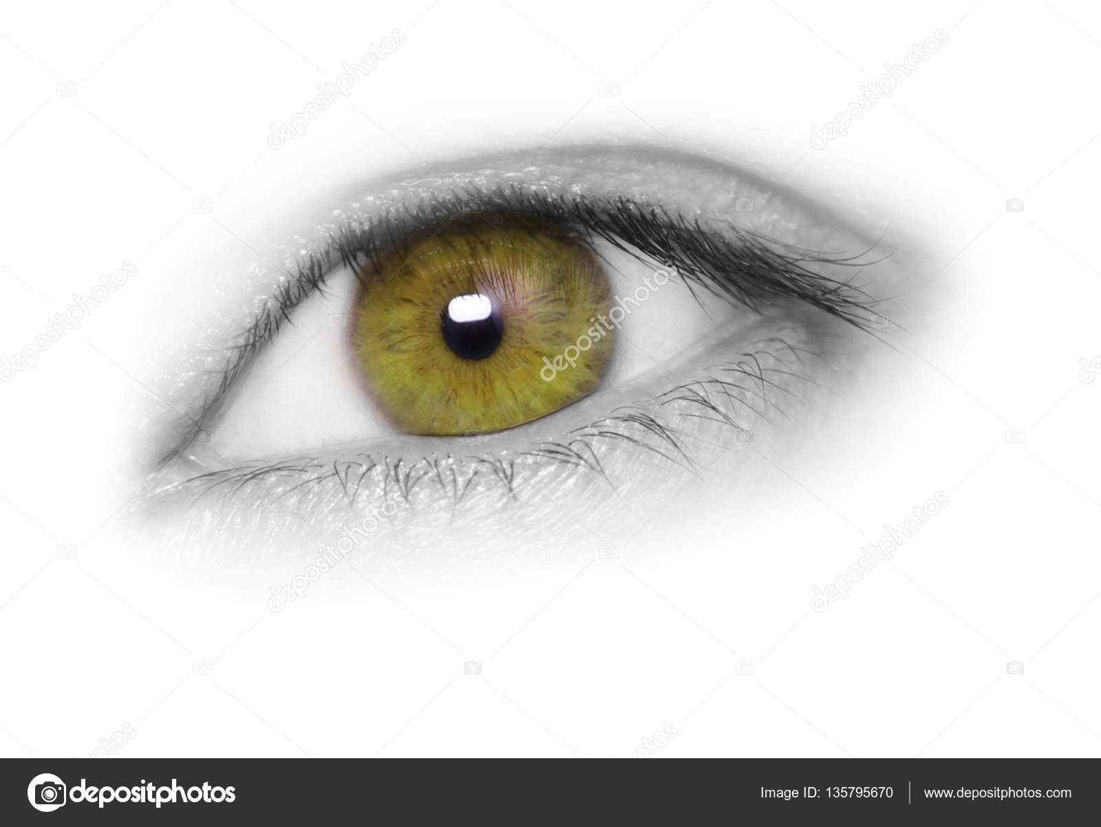 Beautiful hazel eye Stock Photo by ©hayatikayhan 135795670