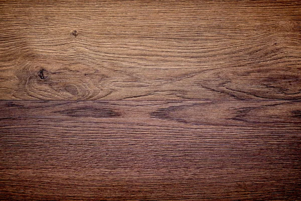 Oak tree structure Stock Photos, Royalty Free Oak tree structure Images ...