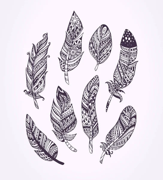 Tribal Feathers Set Ethnic Collection Isolated White Hand Drawn Design ...