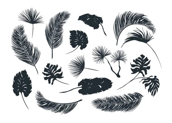 Palm Tree Leaves — Stock Vector © dahabians #12404585 Palm Tree Leaves — Stock Vector © dahabians #12404585