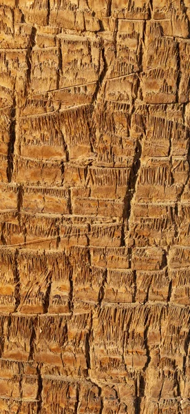 Egyptian texture Stock Photo by ©kamchatka 2243405