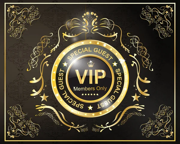Vip card — Stock Vector © Kristina2211 #8014096