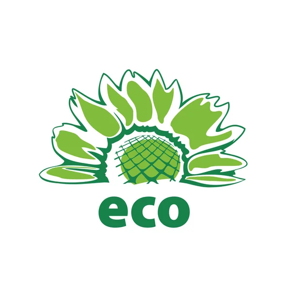 100,000 Eco 100 Vector Images | Depositphotos